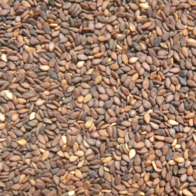 Brown Sesame Seeds - Yash Industries
